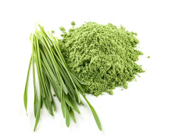 Barley Grass Powder Benefits And Side Effects